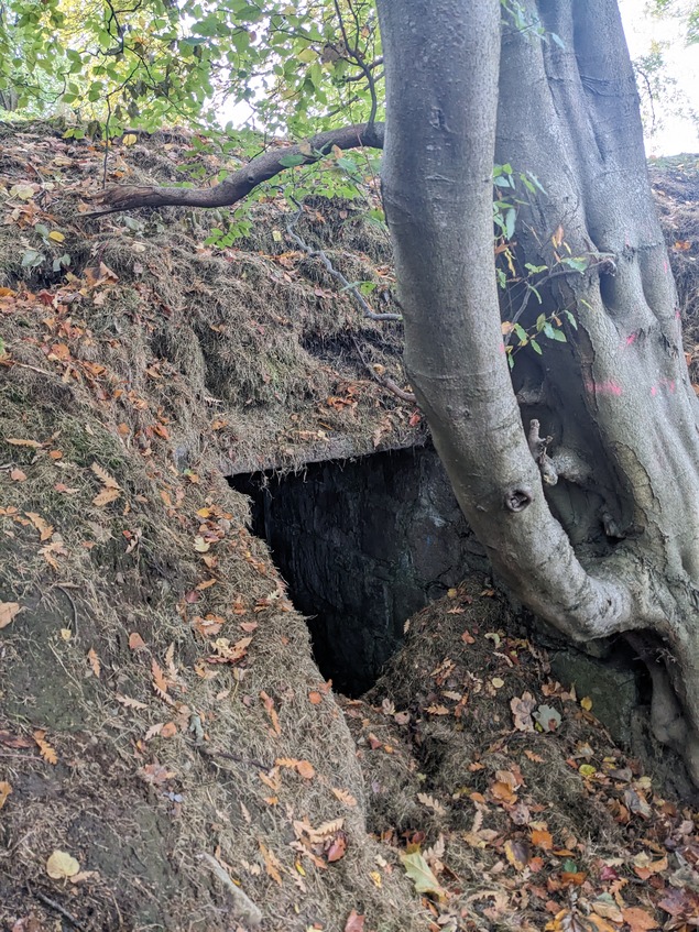 Stoneywood Icehouse - Scottish Cave and Mine Database Site Details