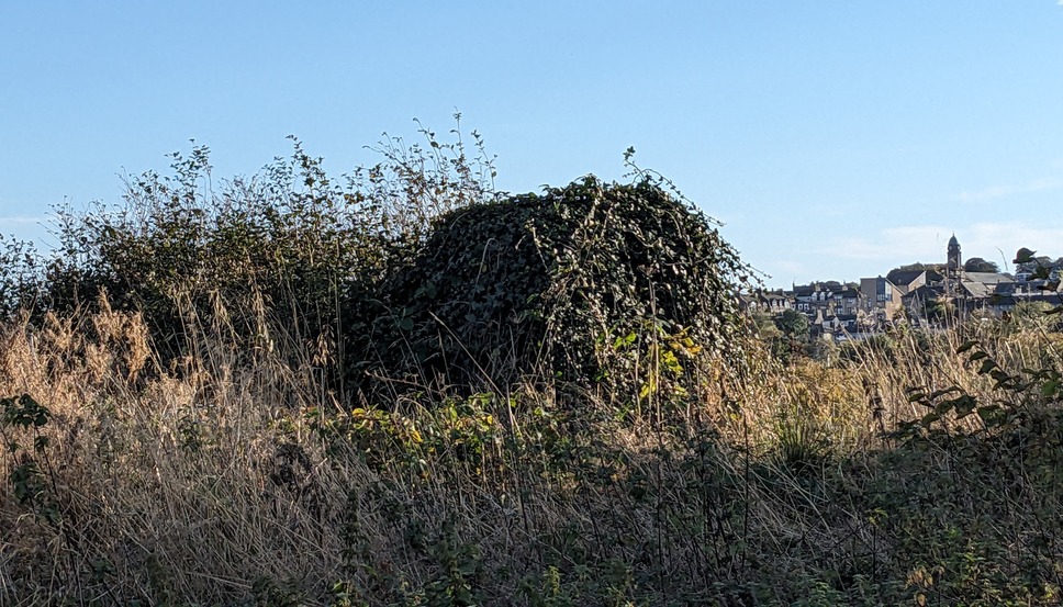 Danestone Icehouse - Scottish Cave and Mine Database Site Details